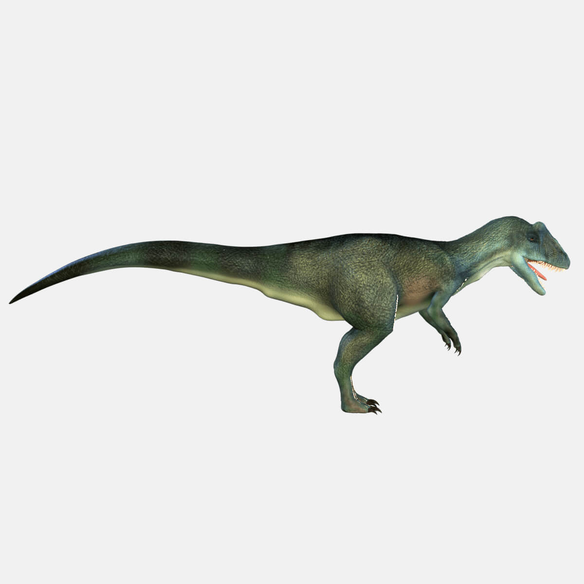 Allosaurus Dinosaur - 3D Model by ismetcam