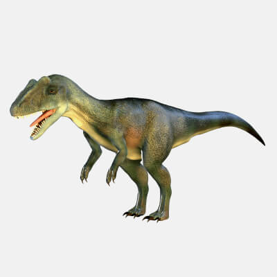 Allosaurus Dinosaur - 3D Model by ismetcam