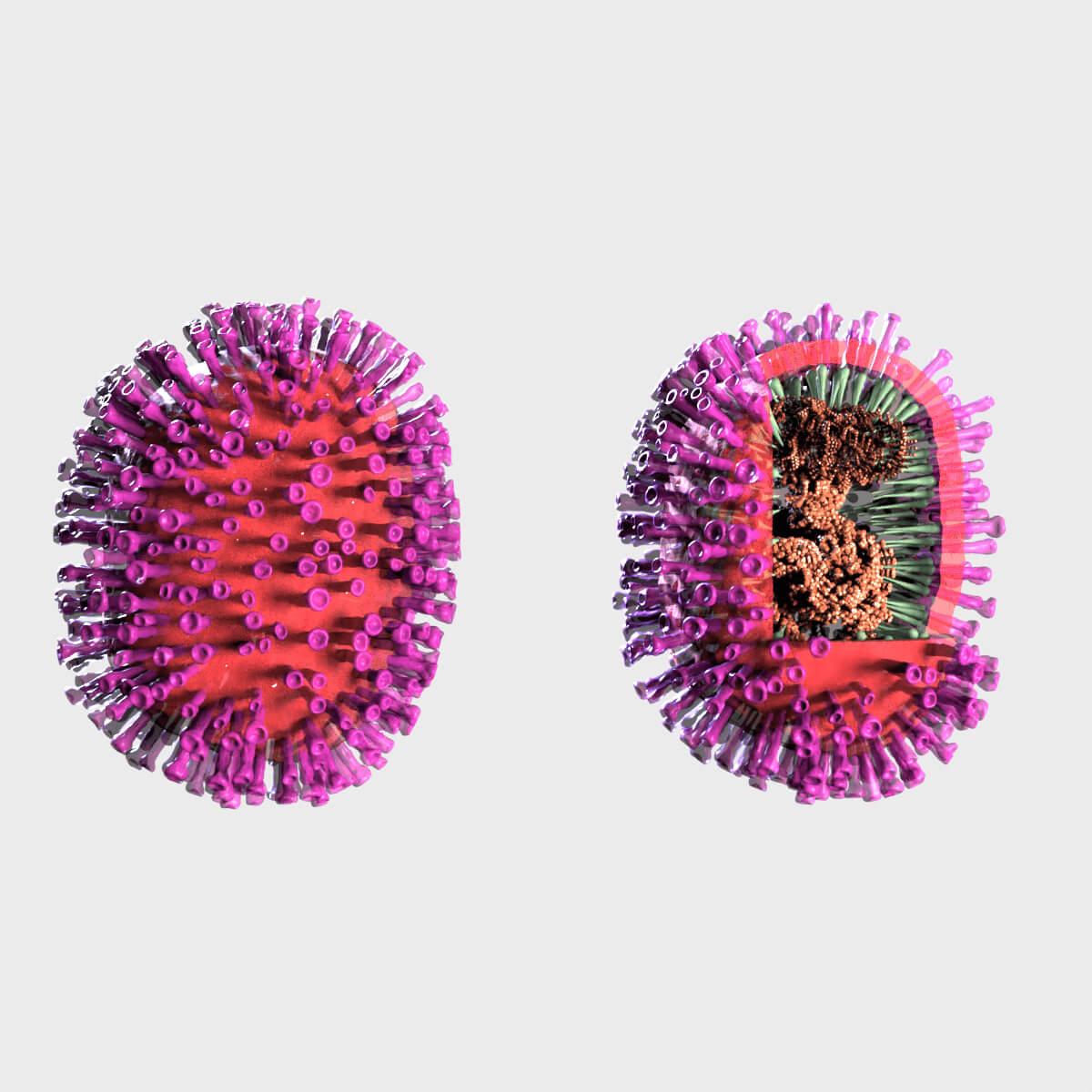 Flu Influenza Molecule - 3D Model by ismetcam