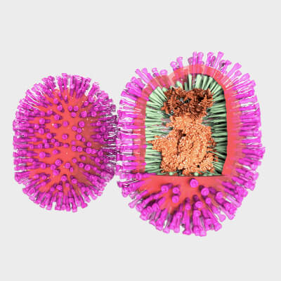 Flu Influenza Molecule - 3D Model by ismetcam