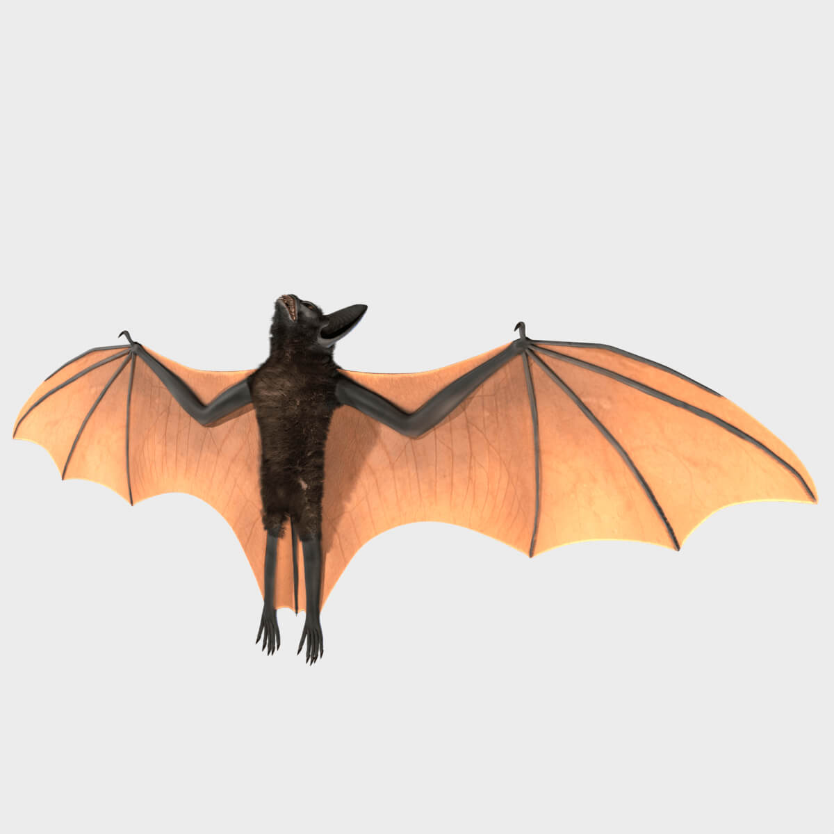 Giant Bat Creature - 3D Model by ismetcam