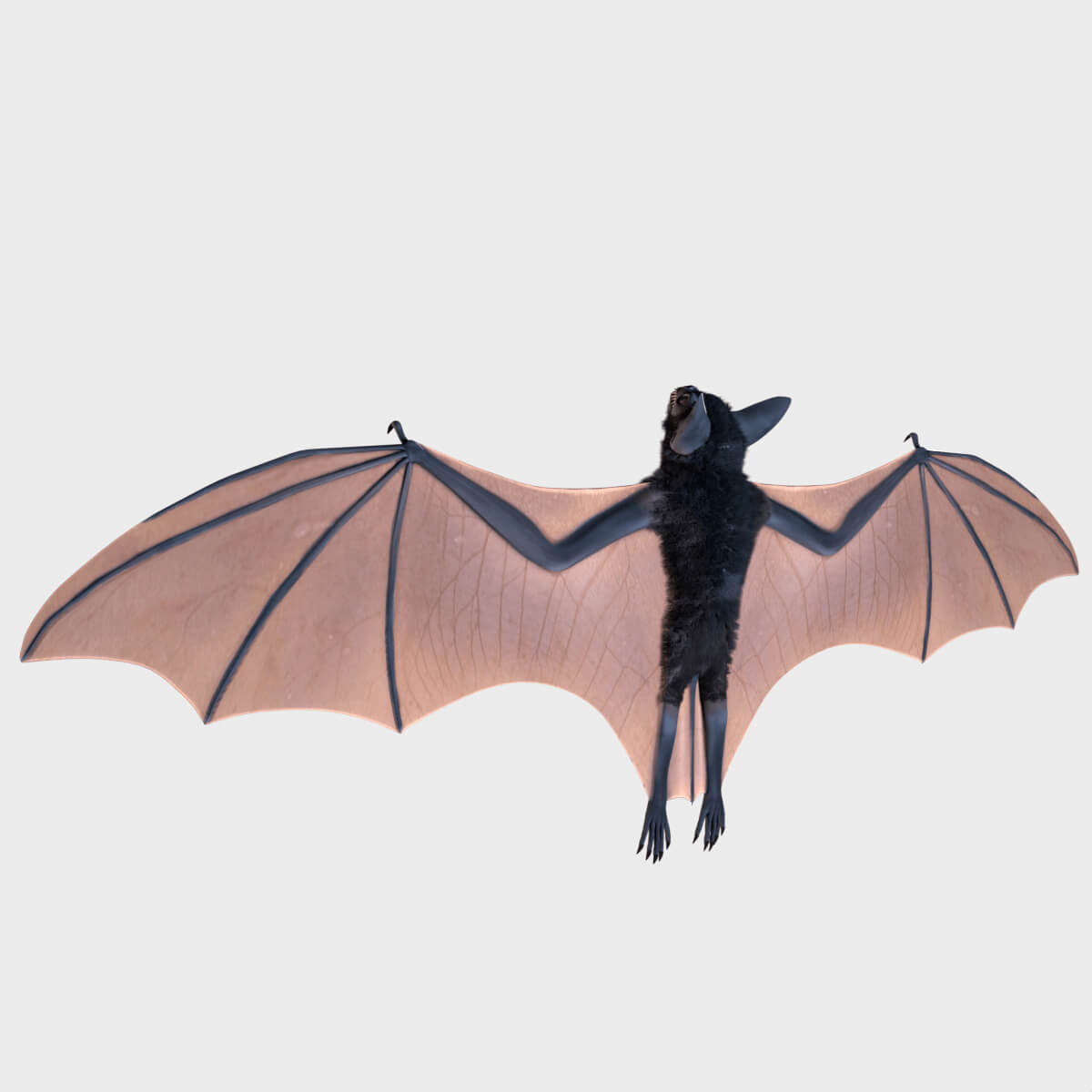 Giant Bat Creature - 3D Model by ismetcam