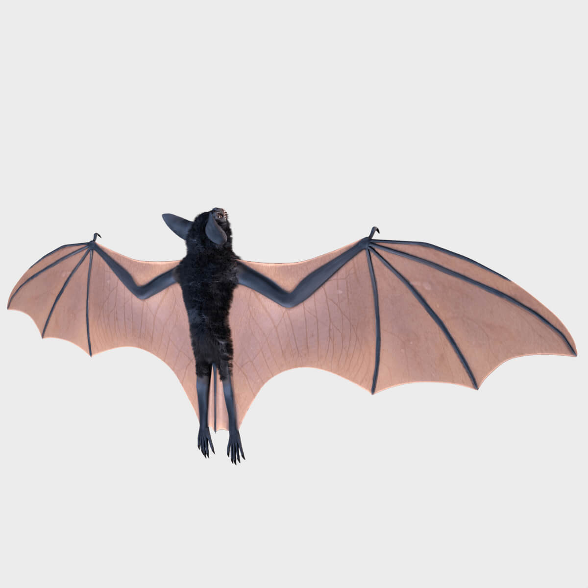 Giant Bat Creature - 3D Model by ismetcam