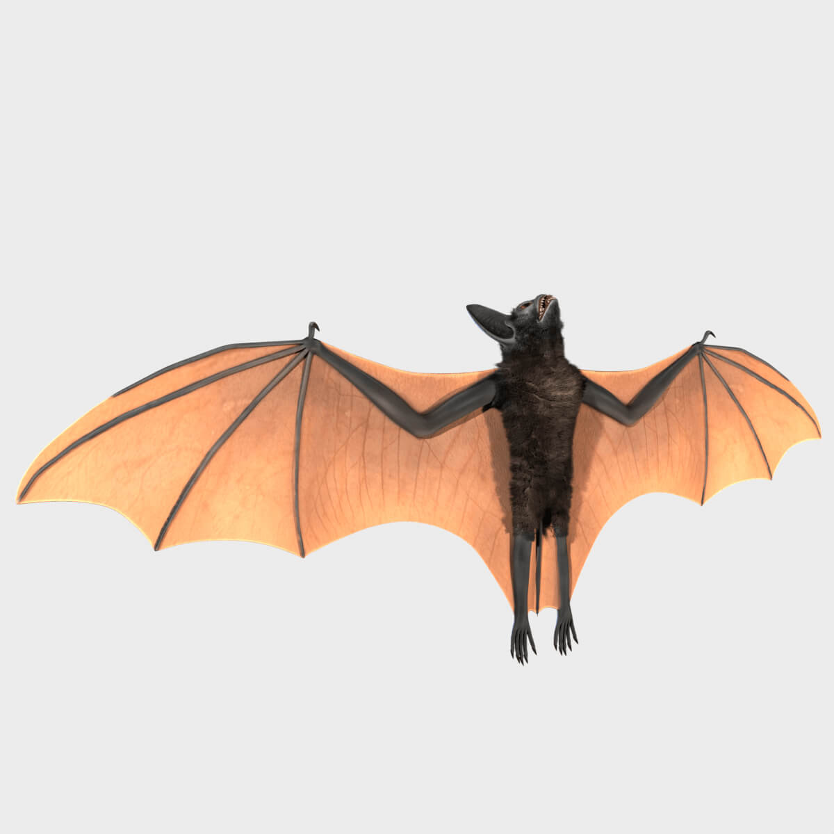 Giant Bat Creature - 3D Model by ismetcam