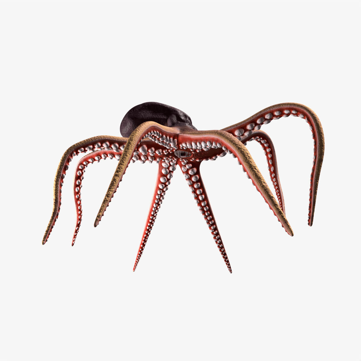 Stylized Octopus - 3D Model by ismetcam