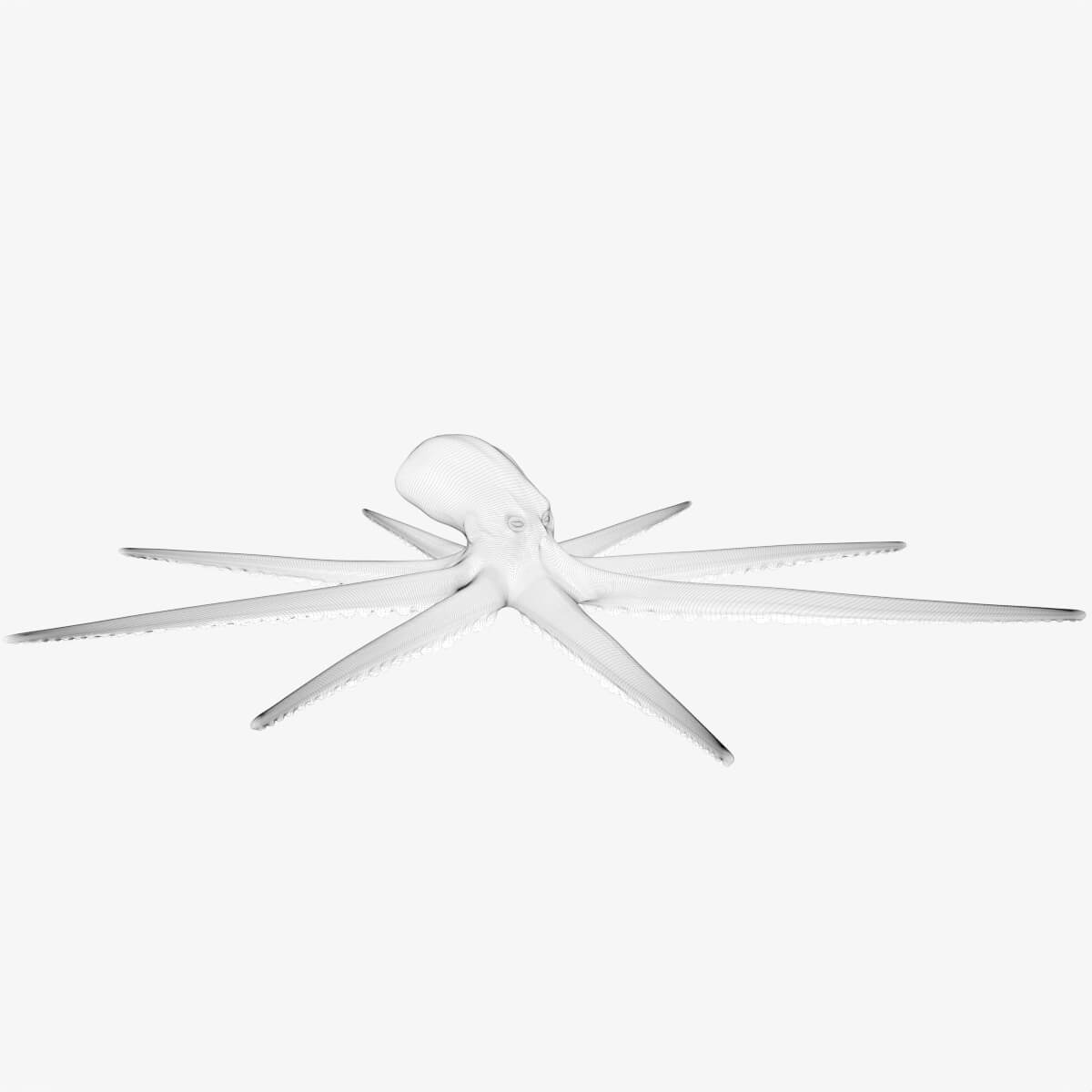 Stylized Octopus - 3D Model by ismetcam