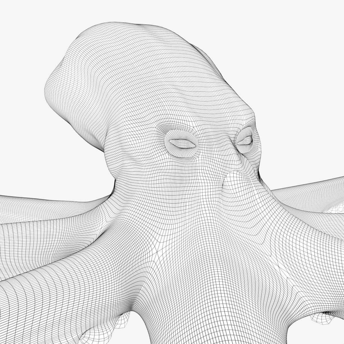 Stylized Octopus - 3D Model by ismetcam