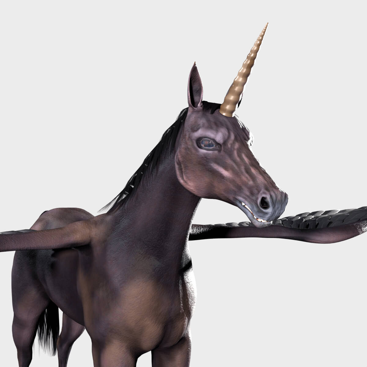 Unicorn Horse - 3D Model by ismetcam