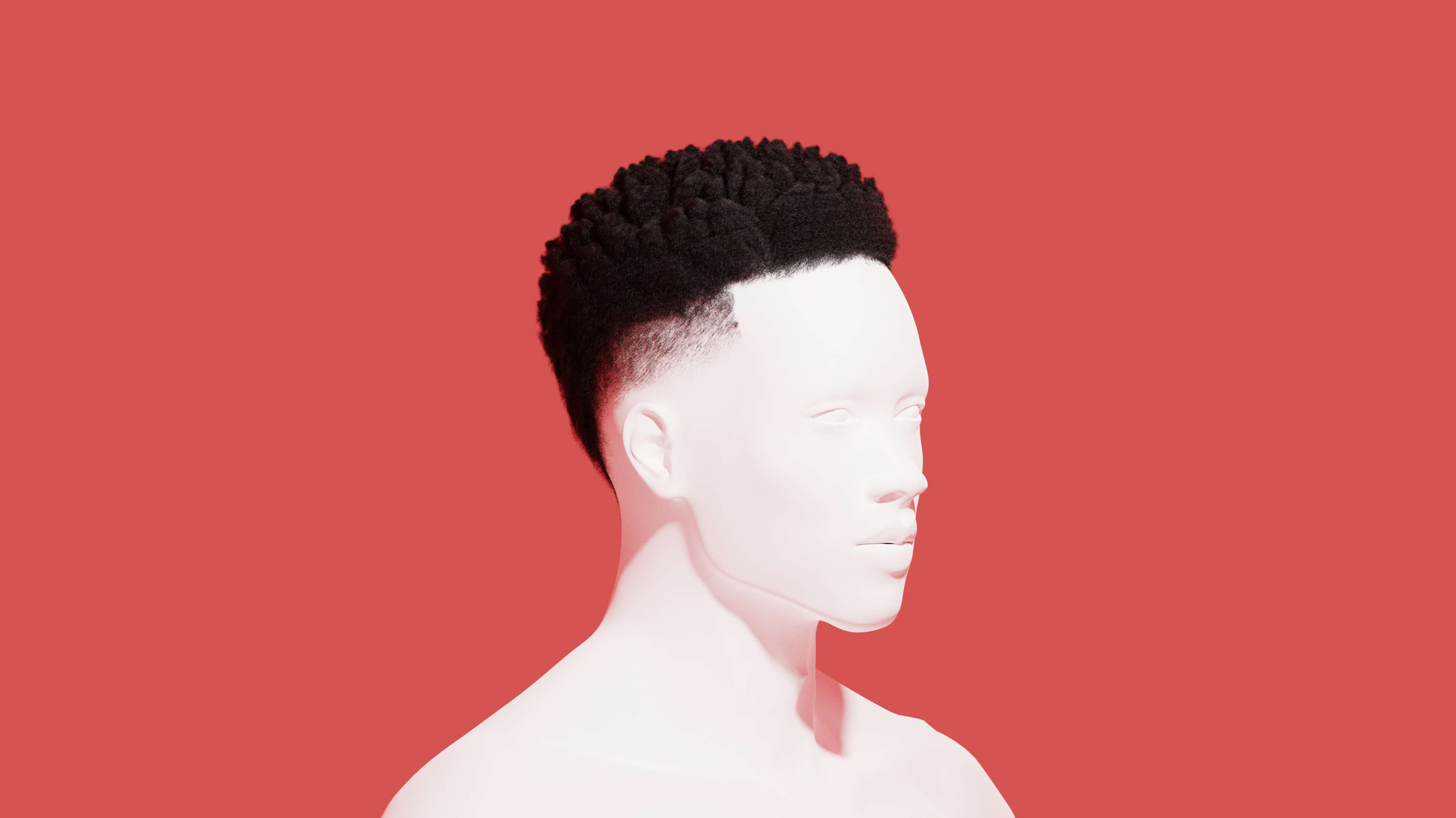 Afro Sponge Curl Fade Hairstyle - 3D Model by ItsAllInYour