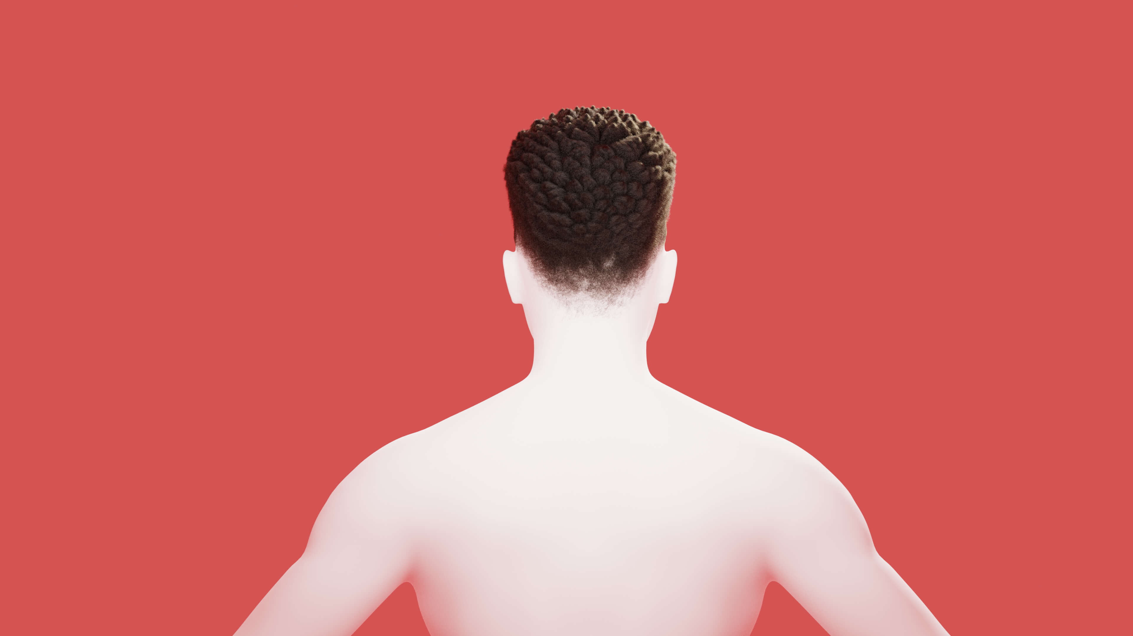 Afro Sponge Curl Fade Hairstyle - 3D Model by ItsAllInYour