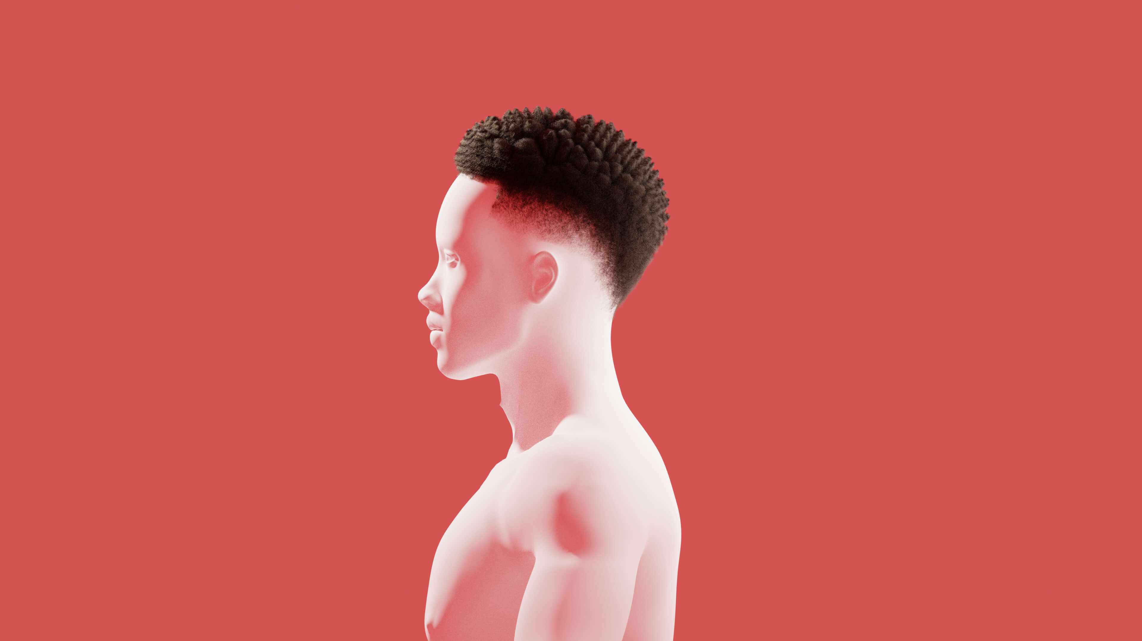 Afro Sponge Curl Fade Hairstyle - 3D Model by ItsAllInYour