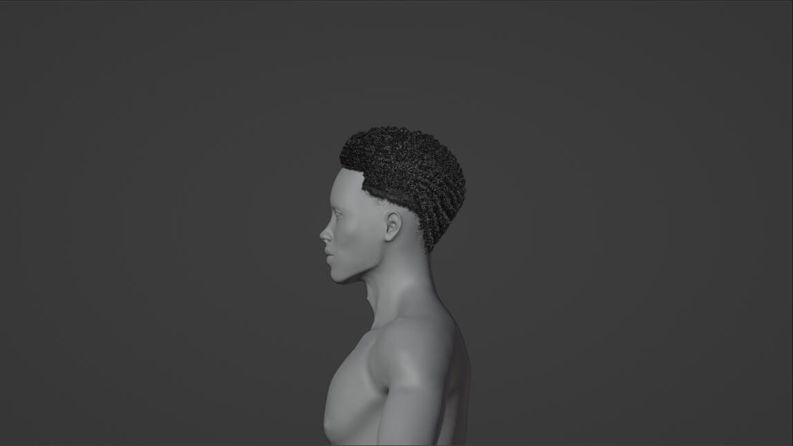 Afro Sponge Curl Fade Hairstyle - 3D Model by ItsAllInYour
