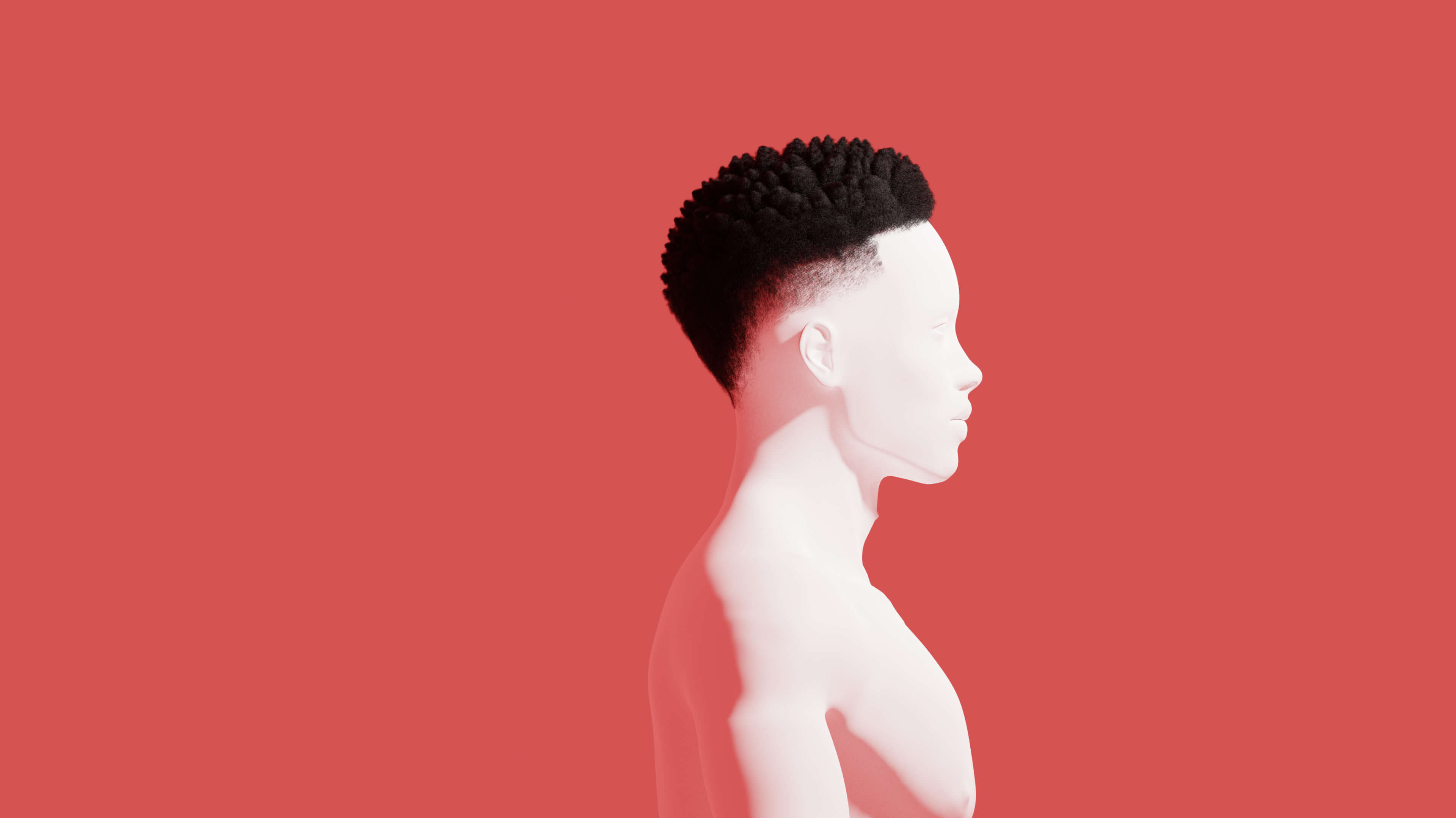 Afro Sponge Curl Fade Hairstyle - 3D Model by ItsAllInYour