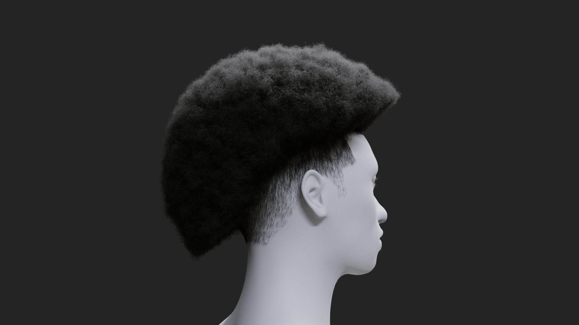 Afro Taper 2 - 3D Model by ItsAllInYour