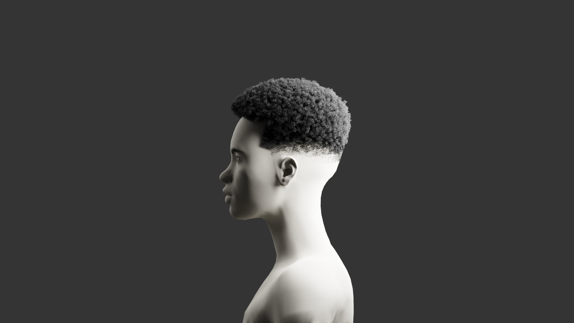 High Top Fade Hairstyle - 3D Model by ItsAllInYour