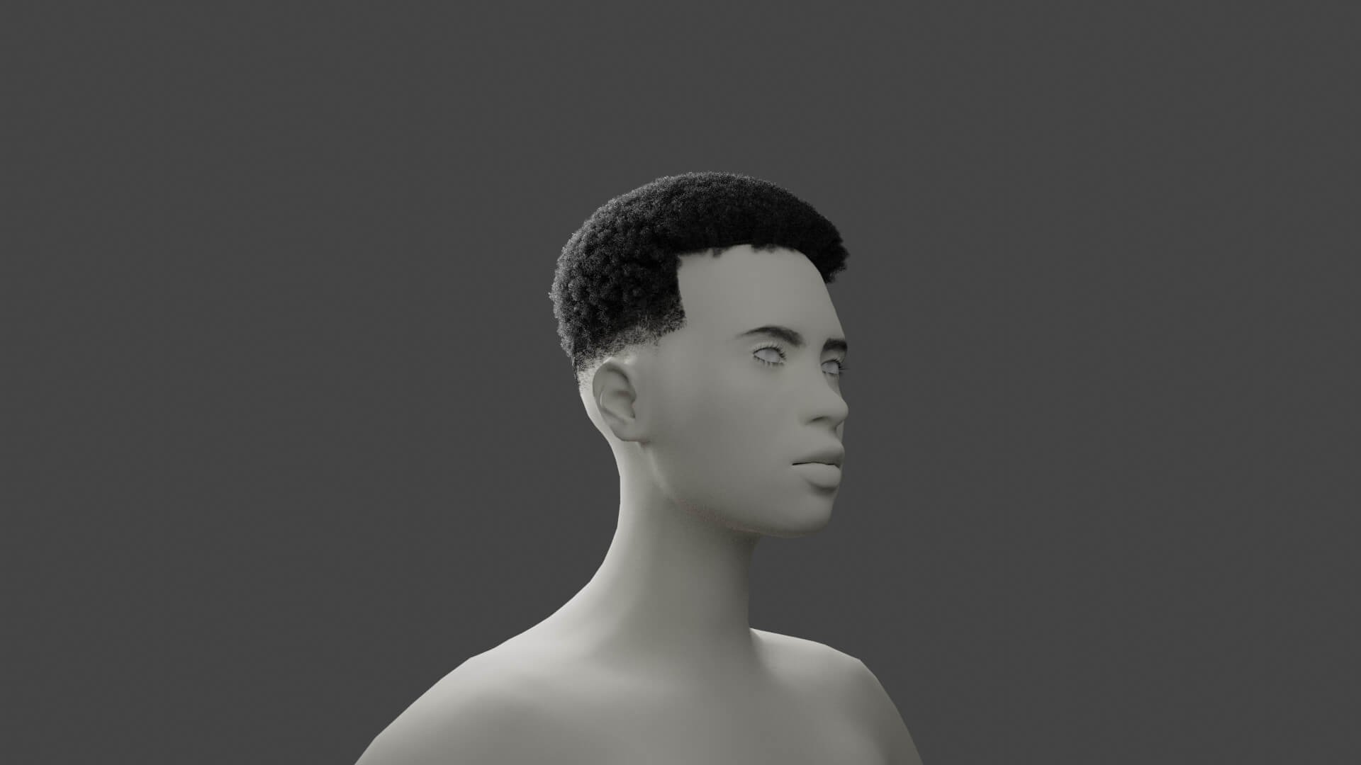 High Top Fade Hairstyle - 3D Model by ItsAllInYour