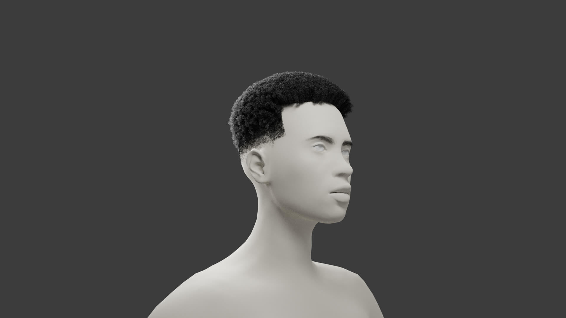 High Top Fade Hairstyle - 3D Model by ItsAllInYour
