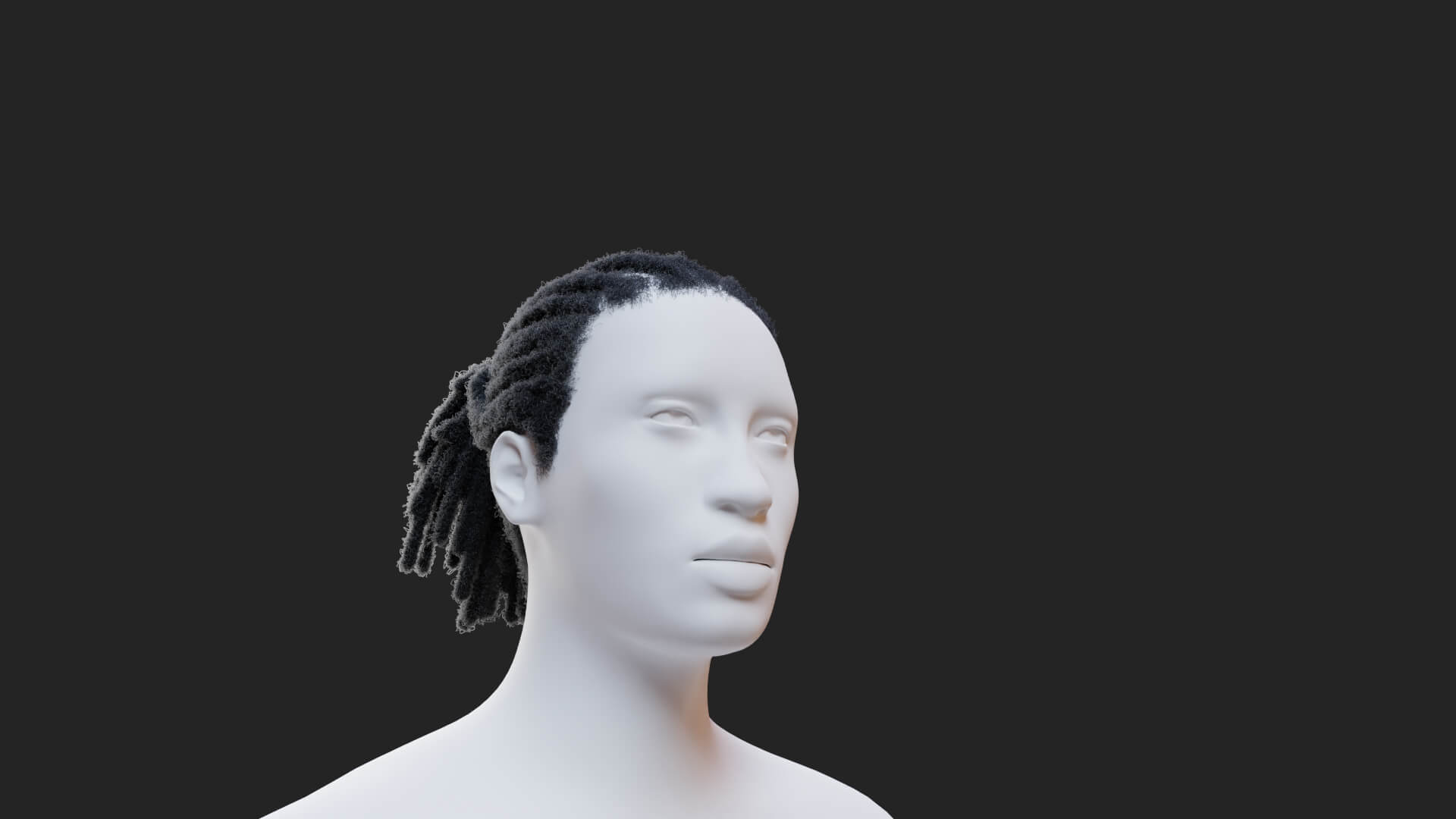 Dreadlocs Ponytail - 3D Model by ItsAllInYour
