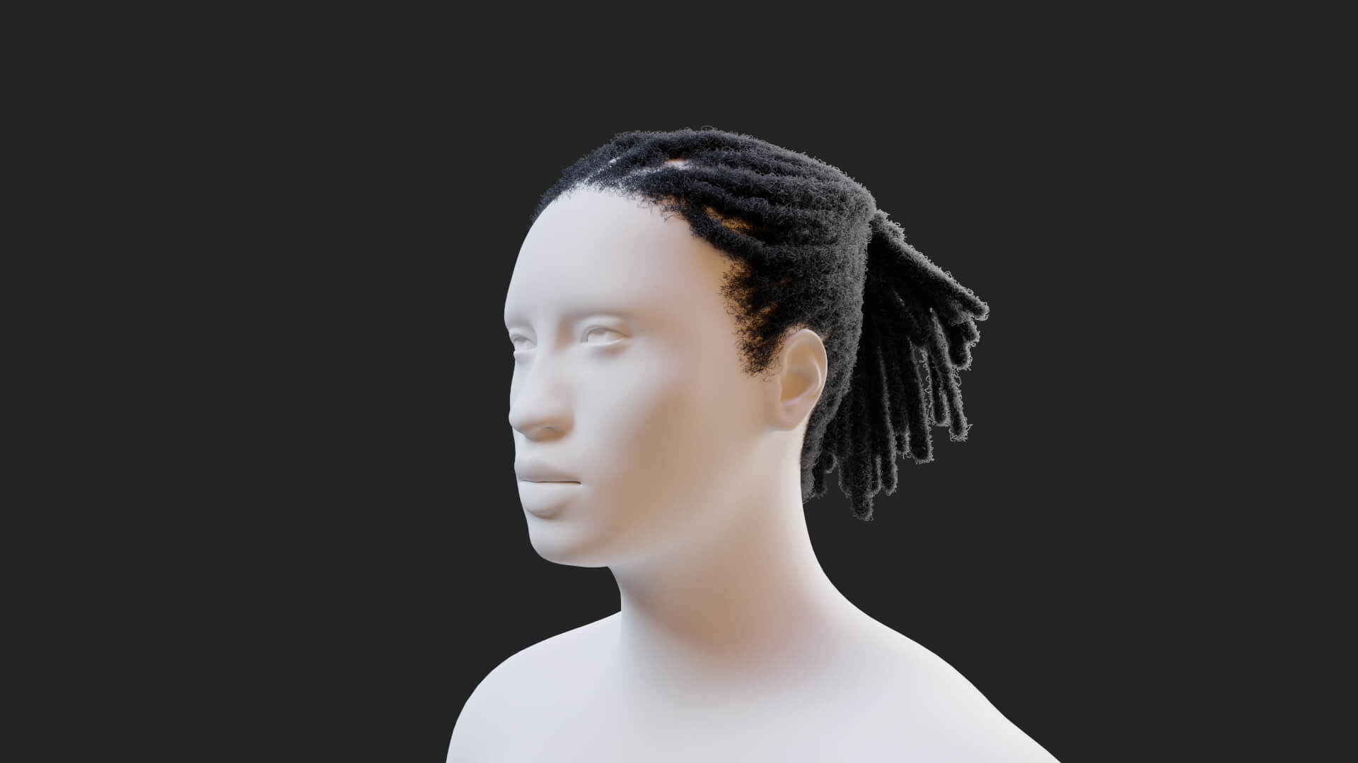 Dreadlocs Ponytail - 3D Model by ItsAllInYour