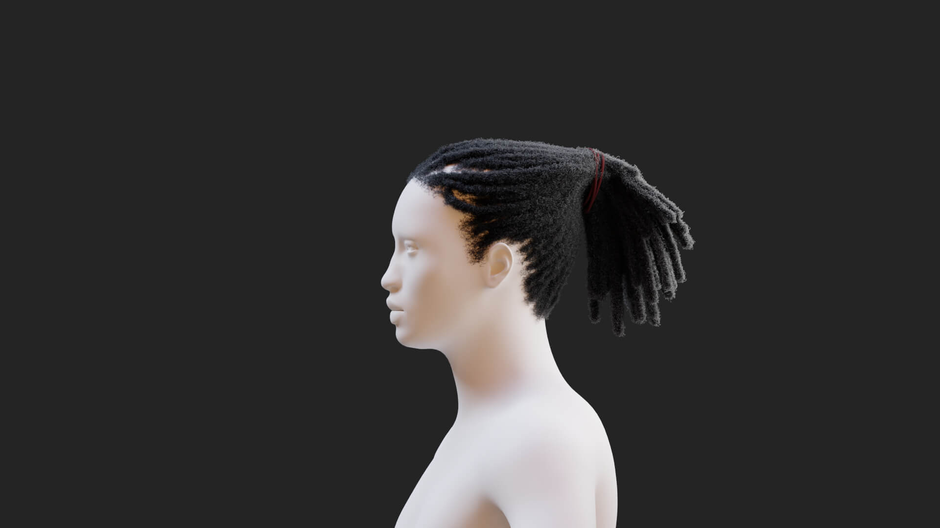 Dreadlocs Ponytail - 3D Model by ItsAllInYour