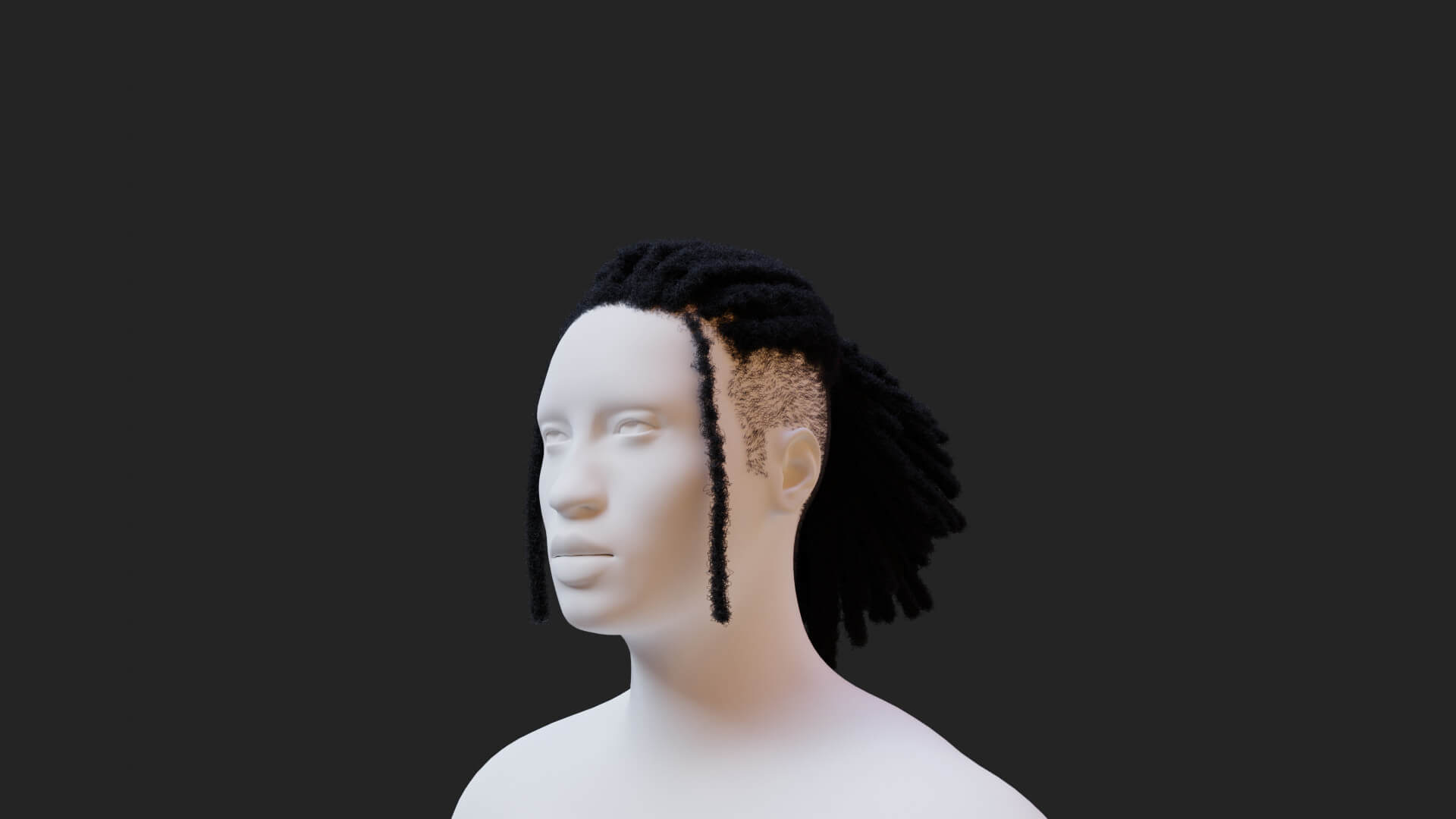 Dreadlocs Ponytail With Fade - 3D Model by ItsAllInYour