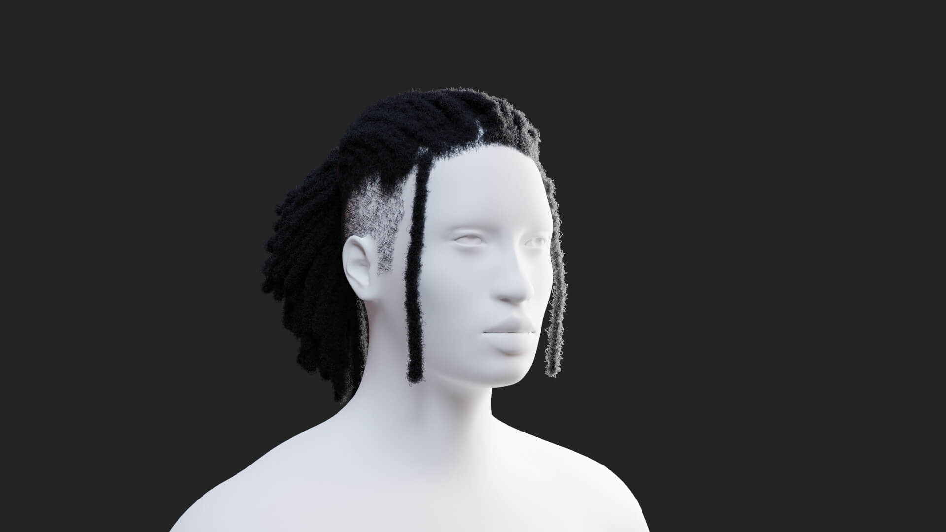 Dreadlocs Ponytail With Fade - 3D Model by ItsAllInYour