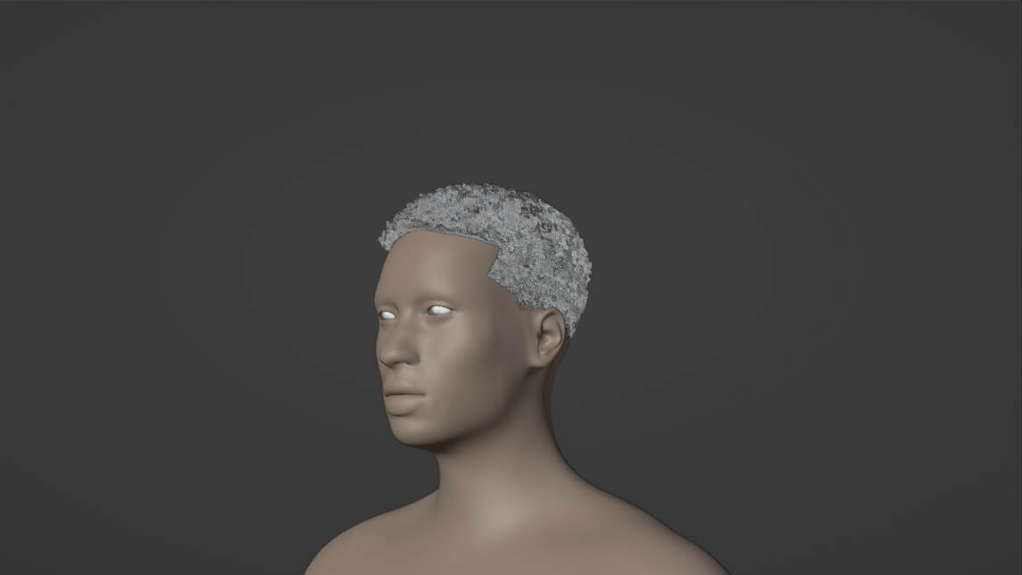 Fade Hairstyle - 3D Model by ItsAllInYour