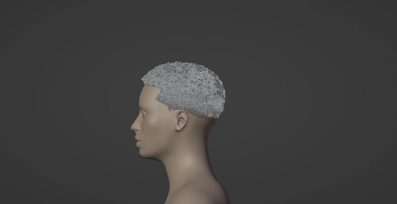 Fade Hairstyle - 3D Model by ItsAllInYour
