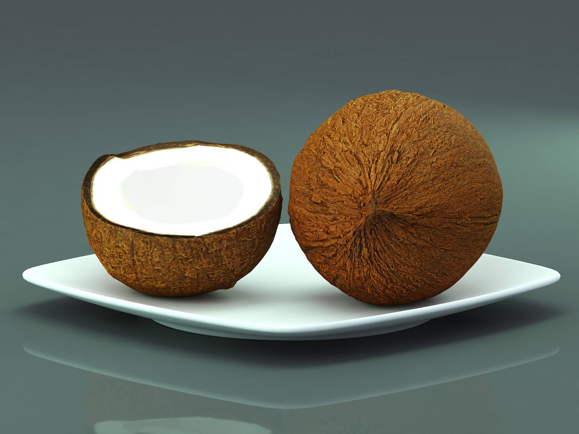 Coconut 3D Model by jahed