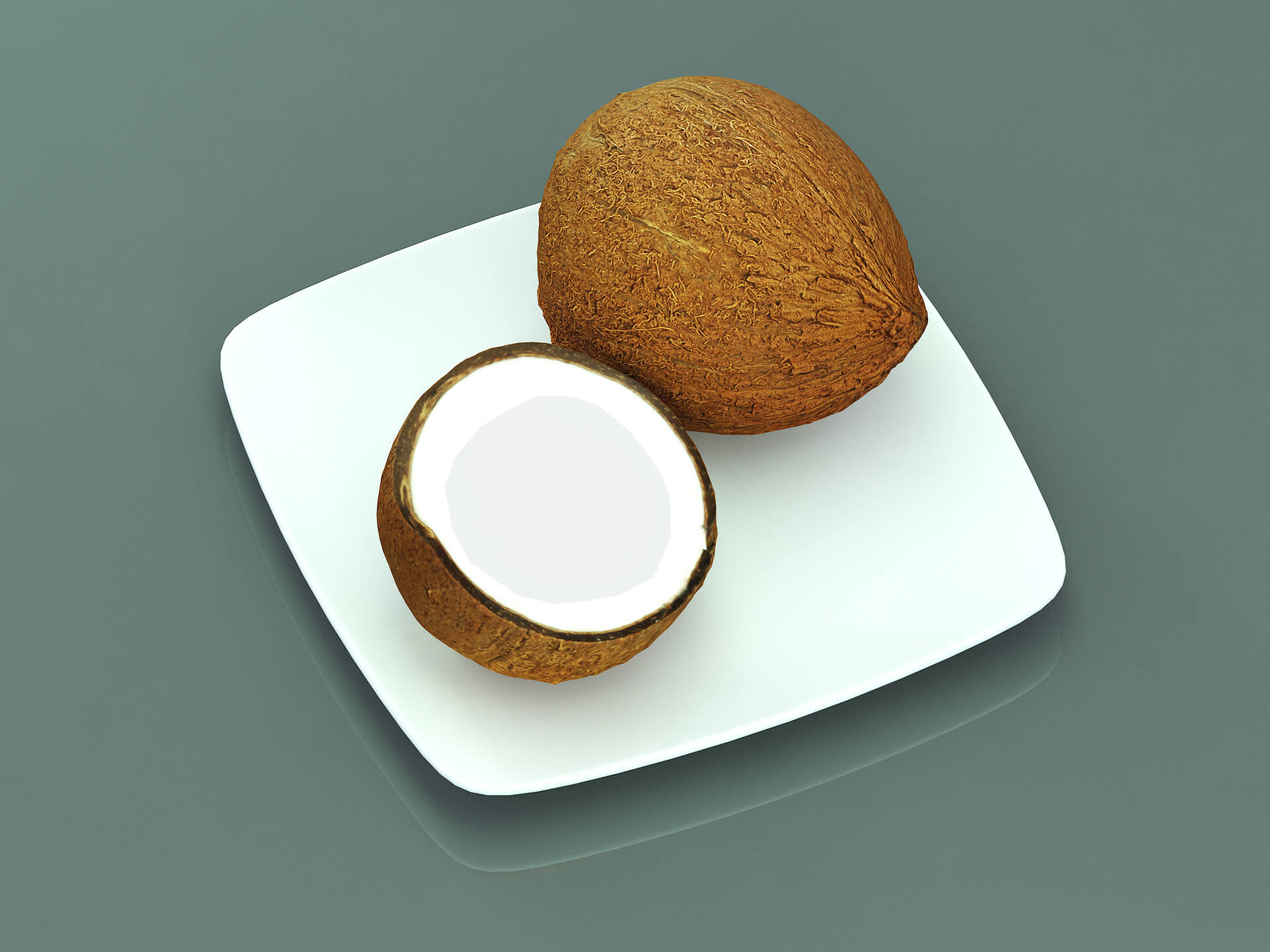 Coconut 3D Model by jahed