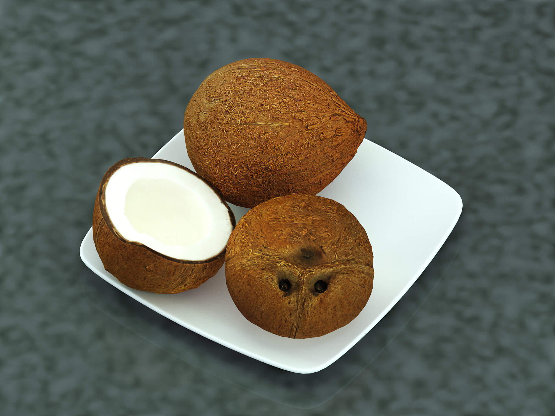Coconut 3D Model by jahed