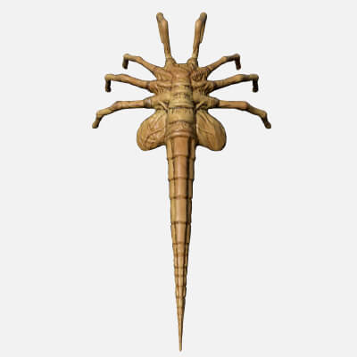 Alien's Facehugger - 3D Model by jaka ardian