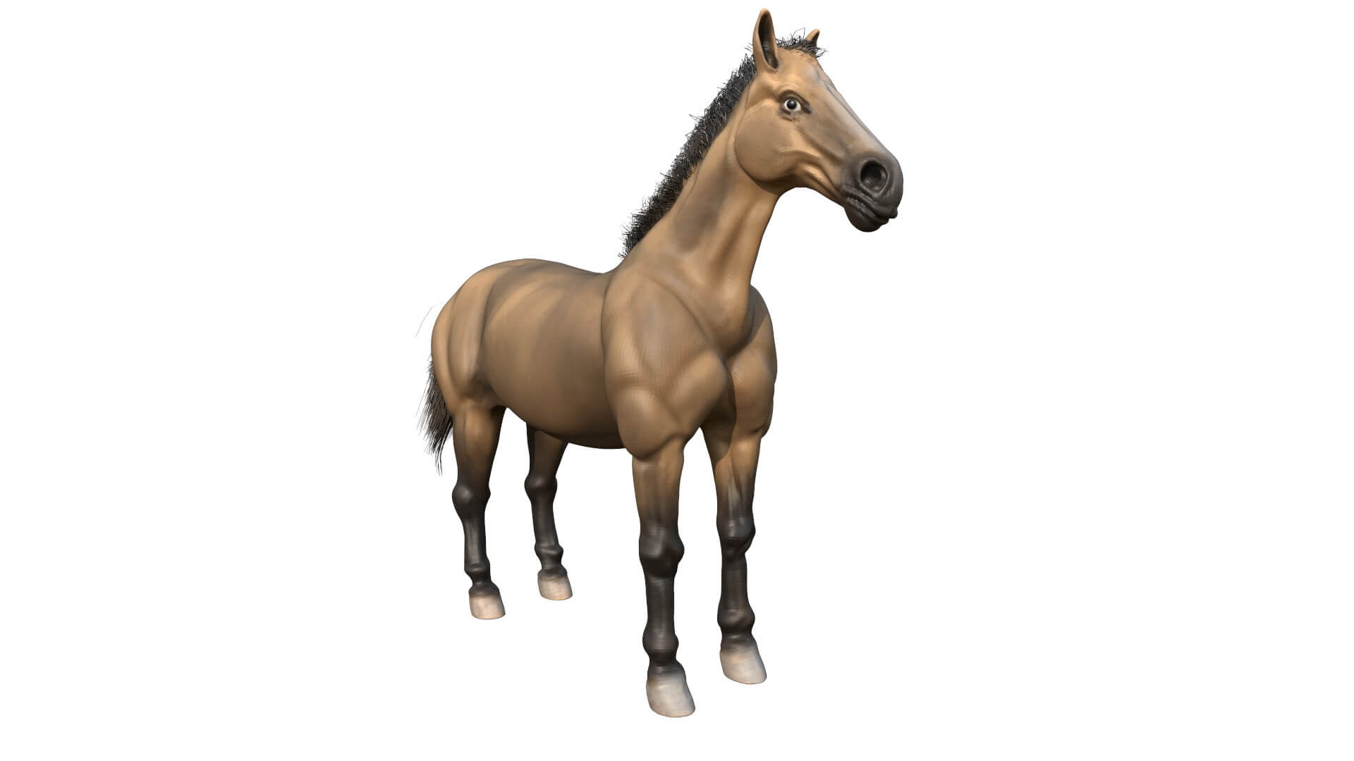 Horse Animal - 3D Model by jaka ardian