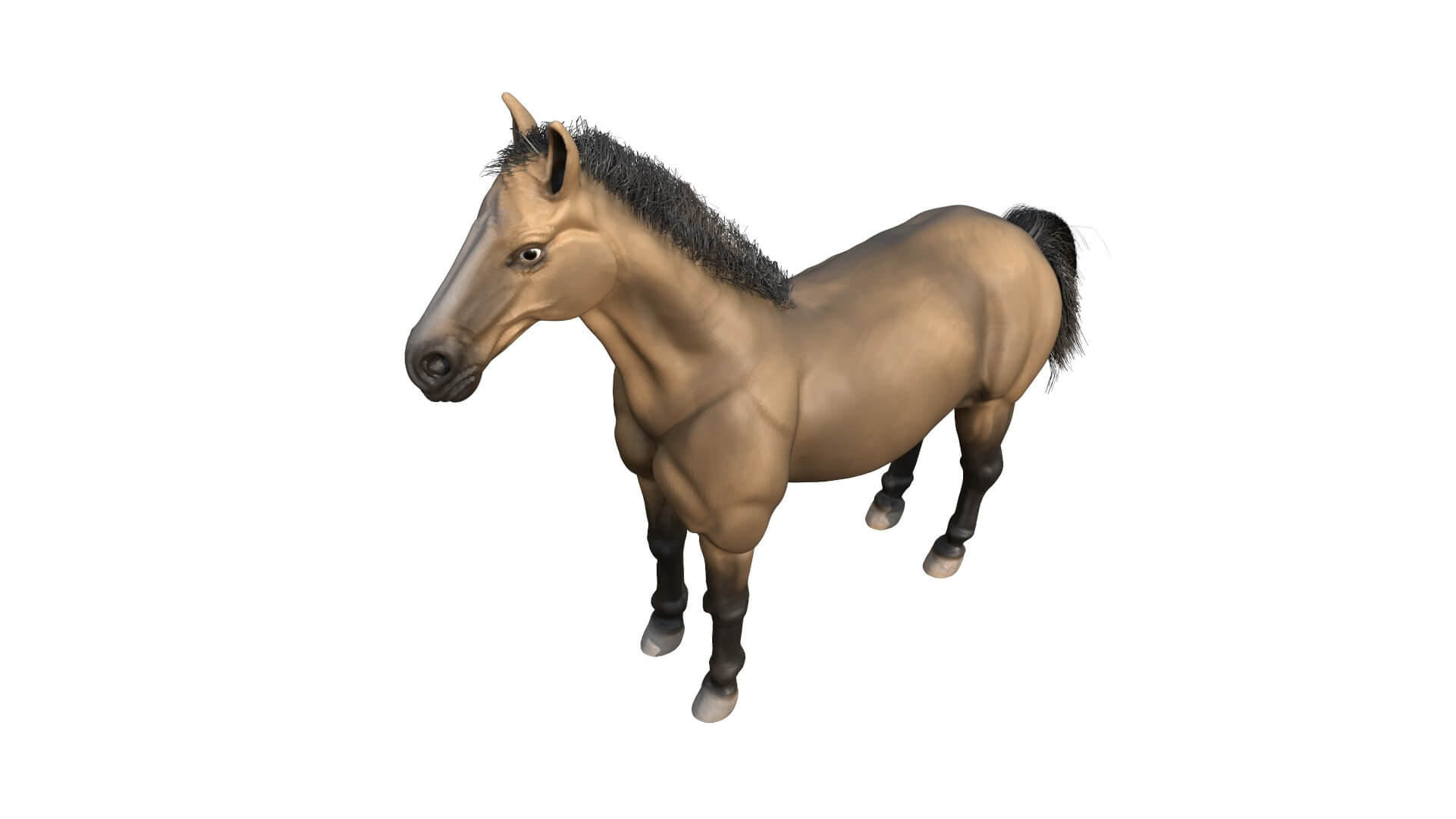 Horse Animal - 3D Model by jaka ardian
