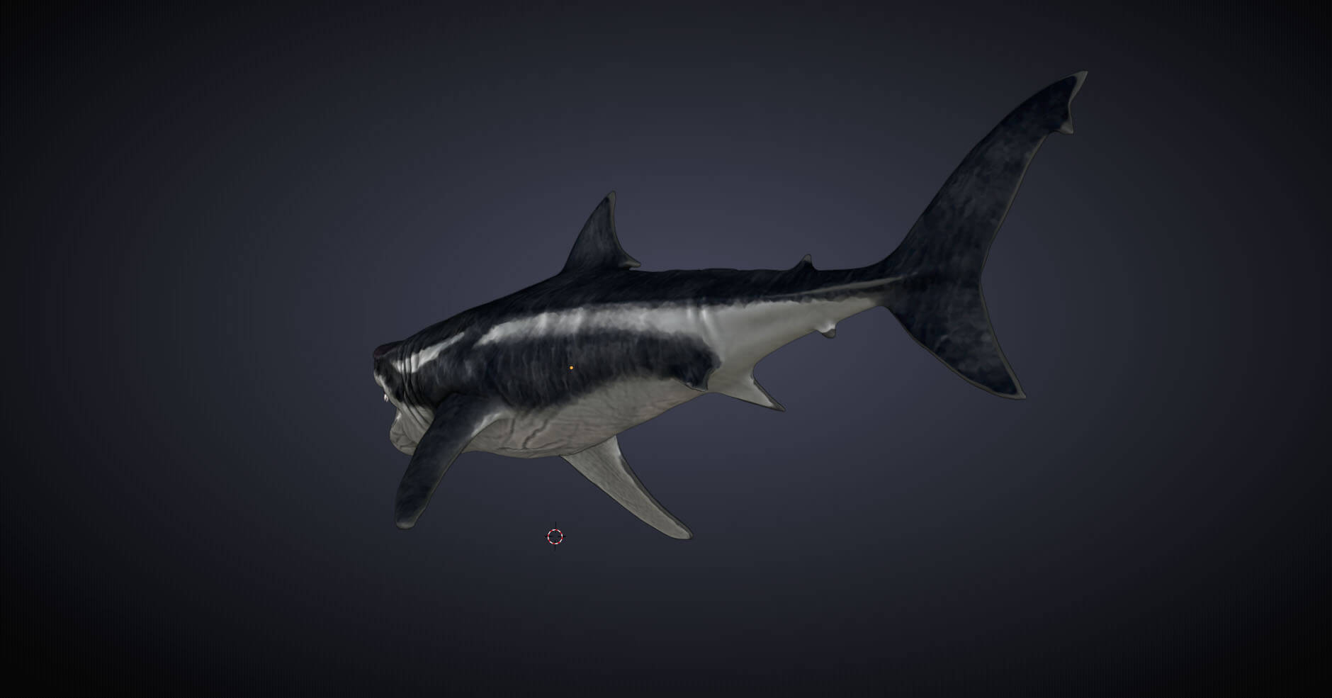 Megalodon Shark - 3D Model by jaka ardian