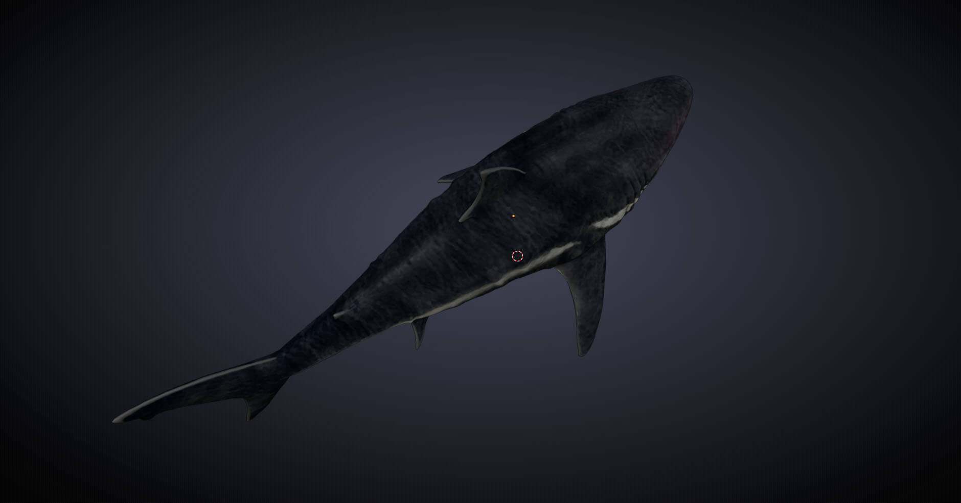 Megalodon Shark - 3D Model by jaka ardian