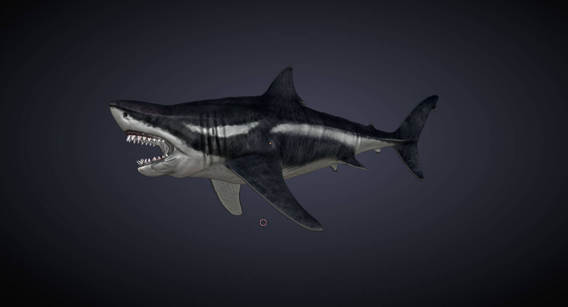 Megalodon Shark - 3D Model by jaka ardian