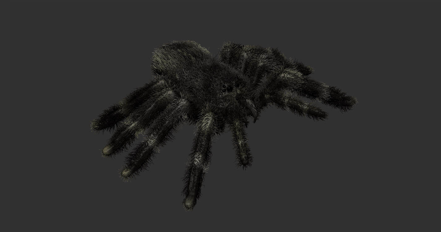 Psalmopoeus Cambridgei - 3D Model by jaka ardian