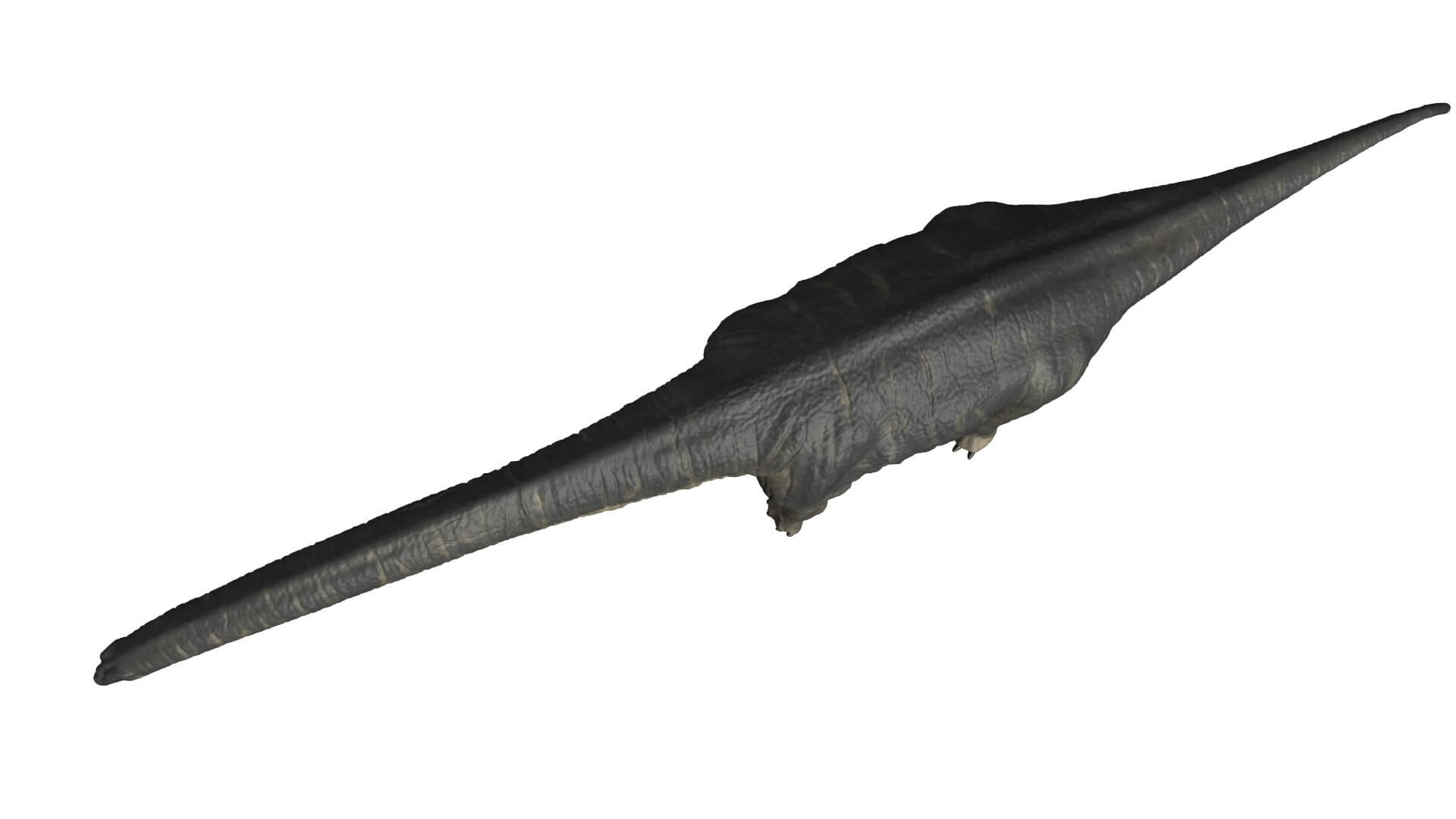 Titanosaurus Giant Lizard - 3D Model by jaka ardian