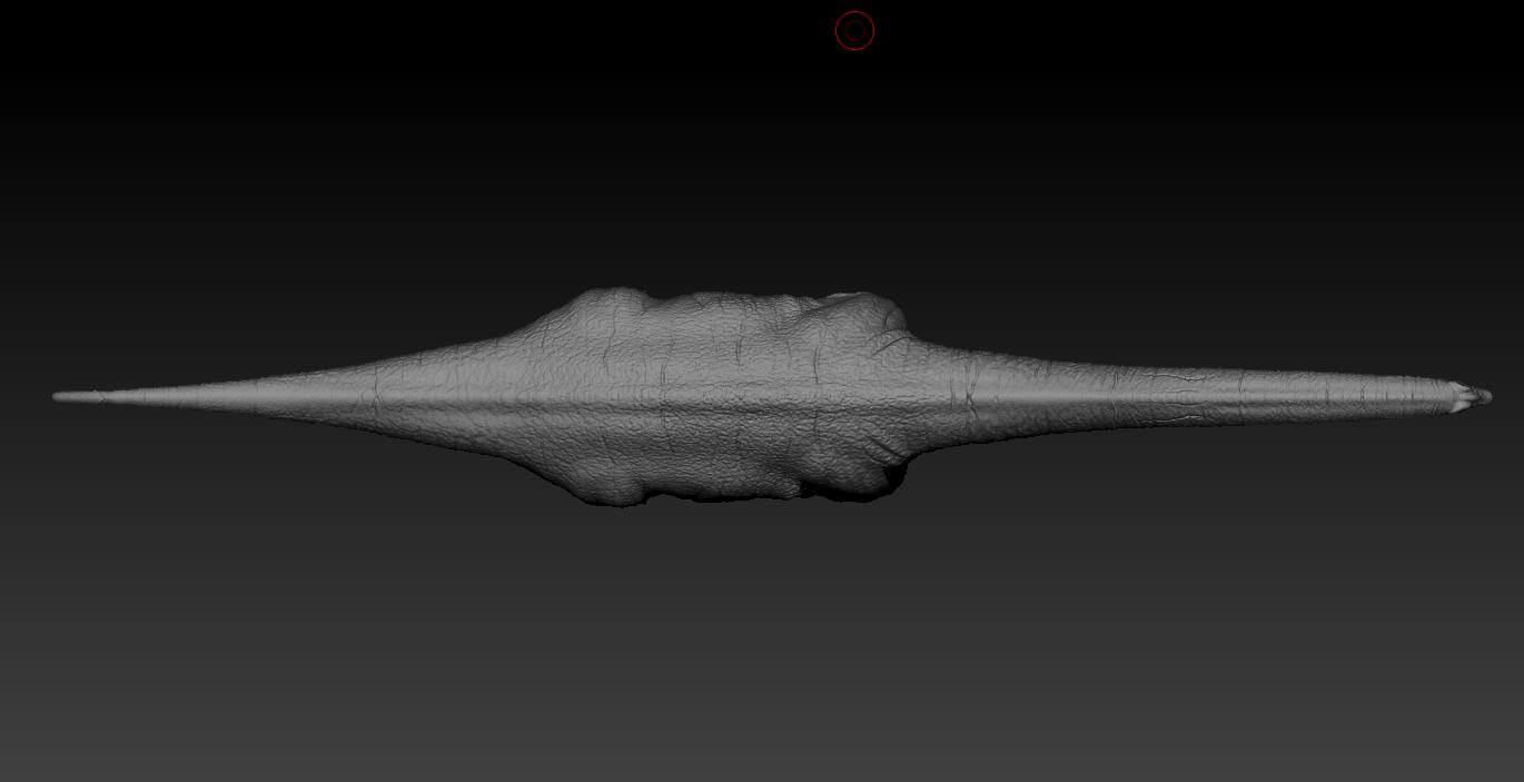 Titanosaurus Giant Lizard - 3D Model by jaka ardian