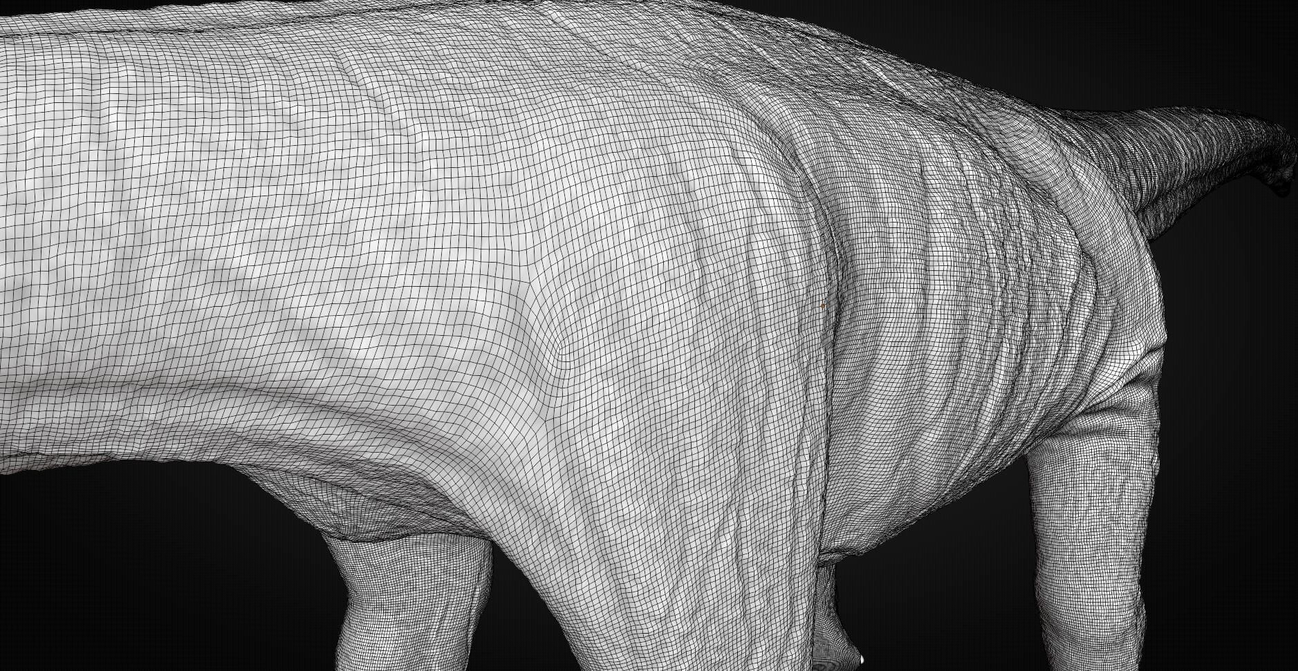 Titanosaurus Giant Lizard - 3D Model by jaka ardian