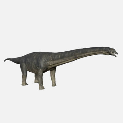 Titanosaurus Giant Lizard - 3D Model by jaka ardian