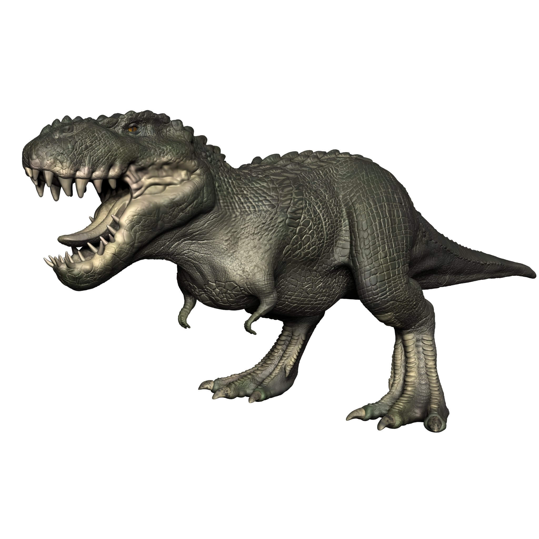 V Rex - 3D Model by jaka ardian