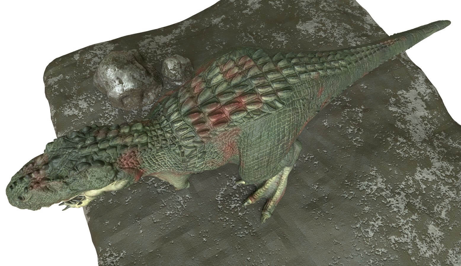 V Rex - 3D Model by jaka ardian