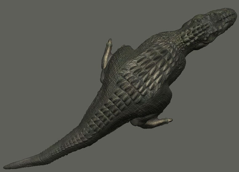 V Rex - 3D Model by jaka ardian