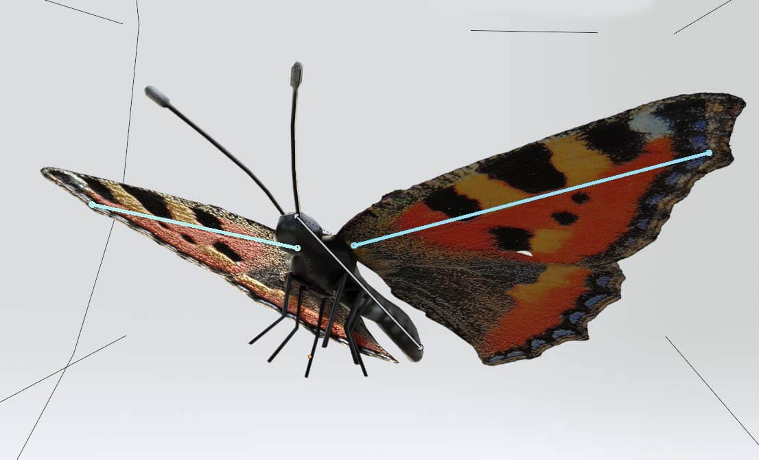 Butterflies & Moths - Low Poly & Rigged 3D Model by jamesmiddzz