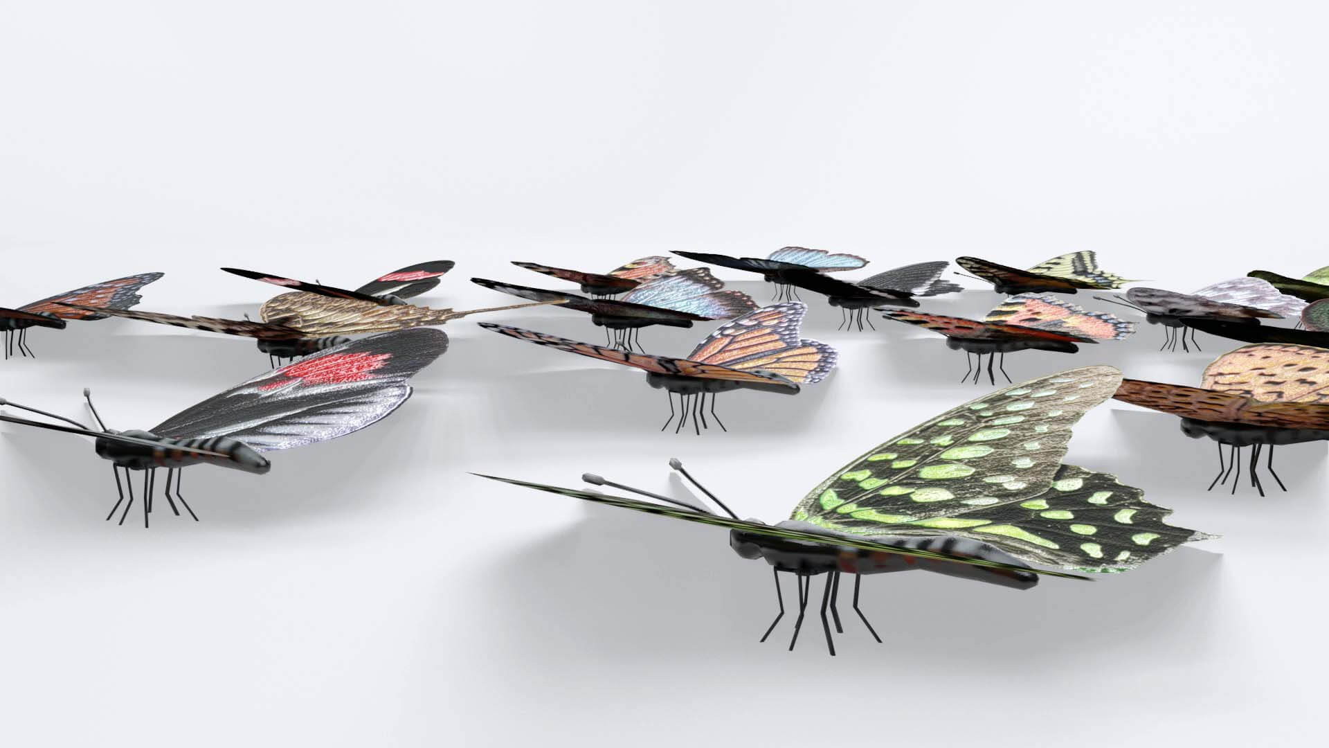 Butterflies & Moths - Low Poly & Rigged 3D Model by jamesmiddzz