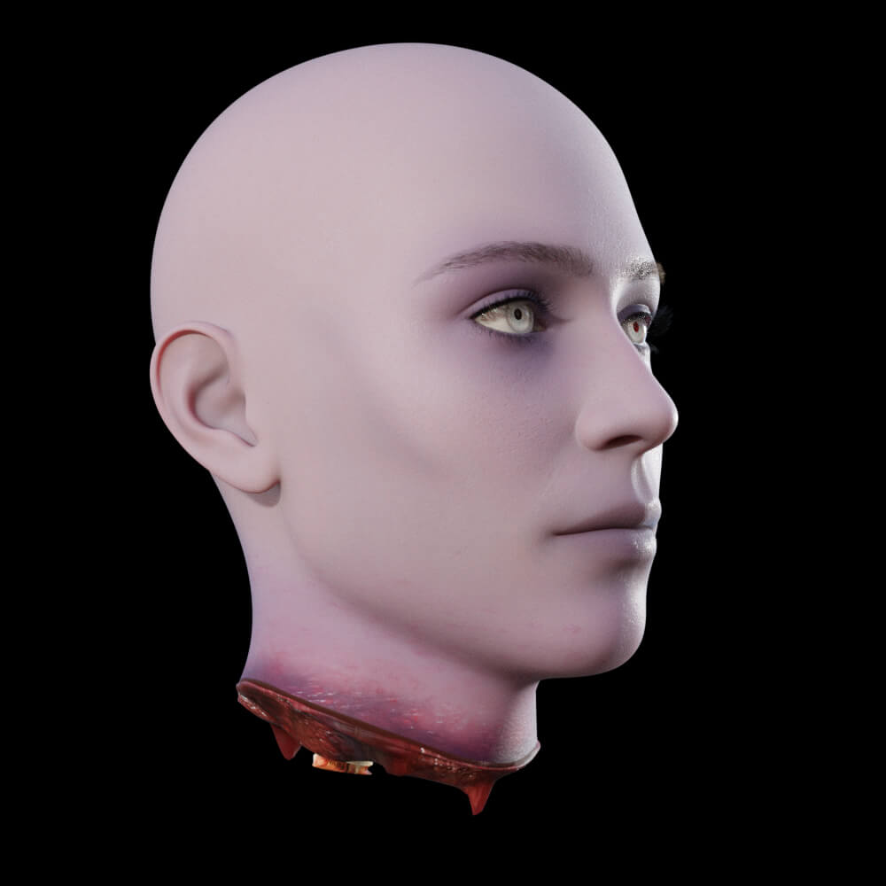 Headless Body Kit for Genesis 9 - Daz Content by janey