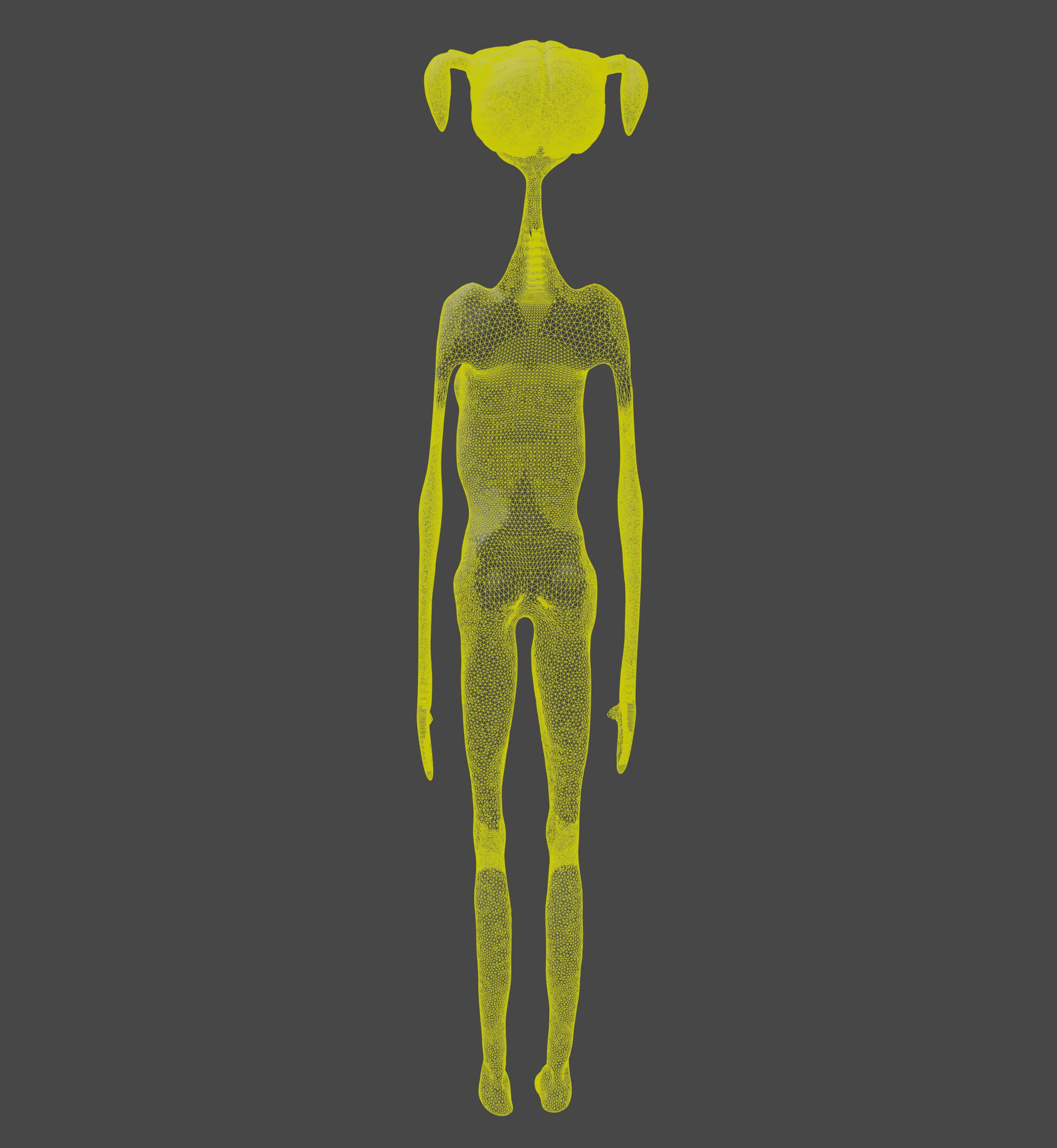 Alien Simple Female Humanoid - 3D Model by japanzanuda