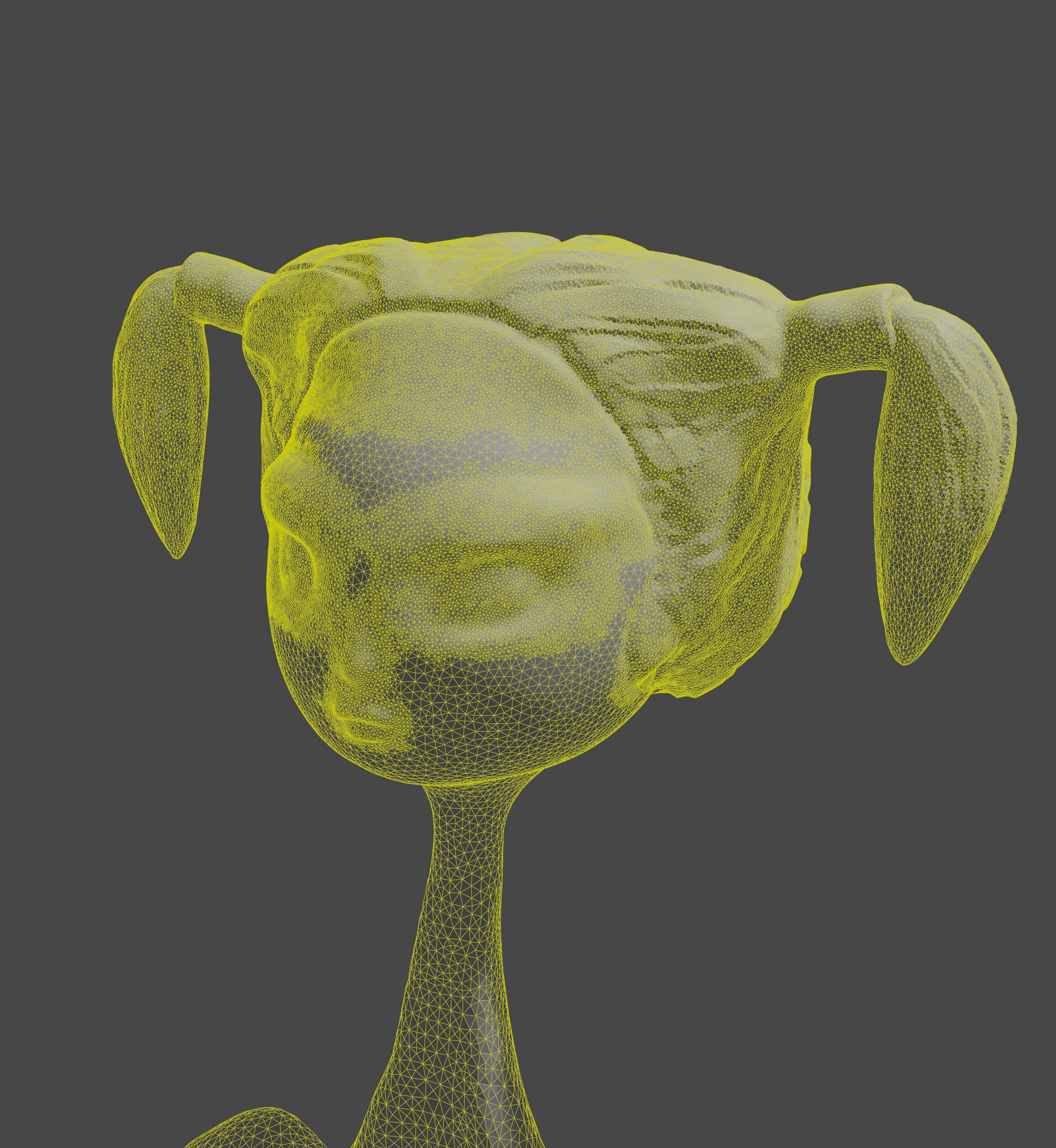 Alien Simple Female Humanoid - 3D Model by japanzanuda